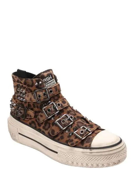Ash Rainbow Studs Platform High-top Sneakers - Wild Brown
