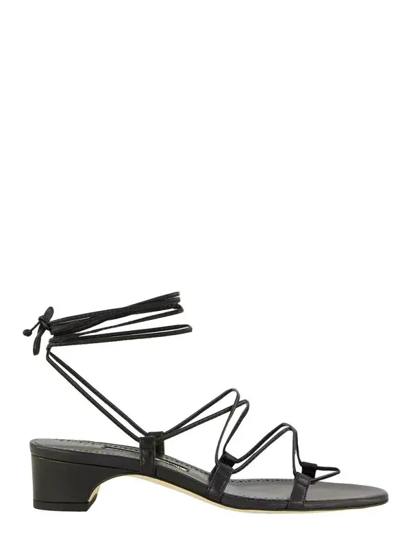 Manolo Blahnik Lace-up Block-heel Sandals - Black