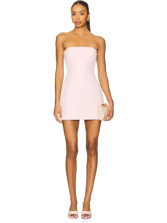 LOVERS AND FRIENDS Renn Mini Dress - Baby Pink