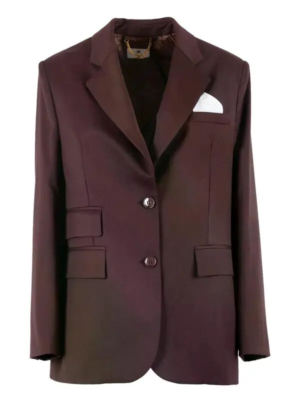 Elisabetta Franchi Single-breasted Blazer - Brown