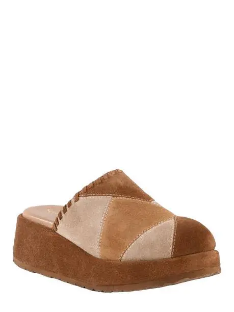 Seychelles Whammy Platform Clog - Brown/multi