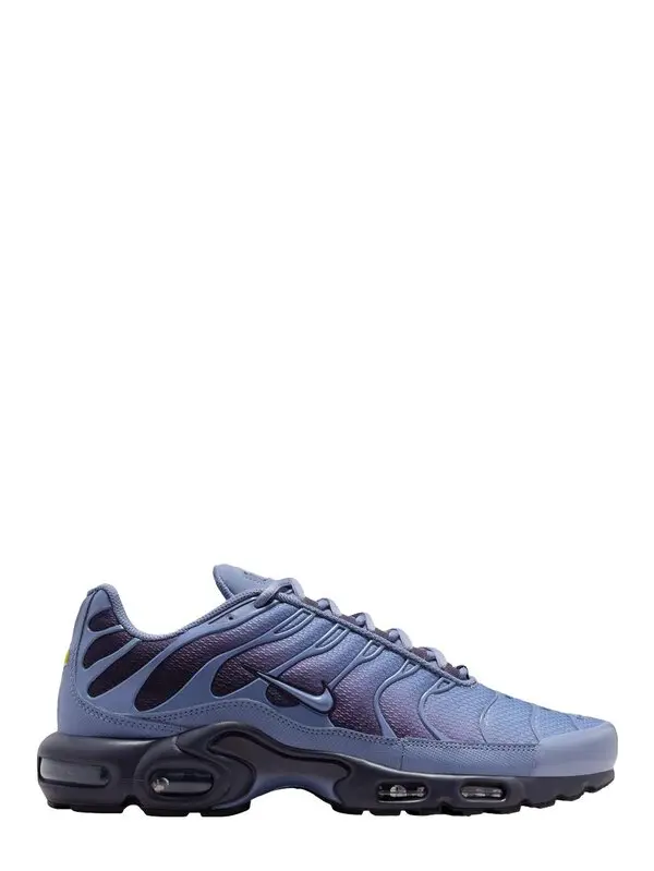 Nike Air Max Plus Sneakers - Blue