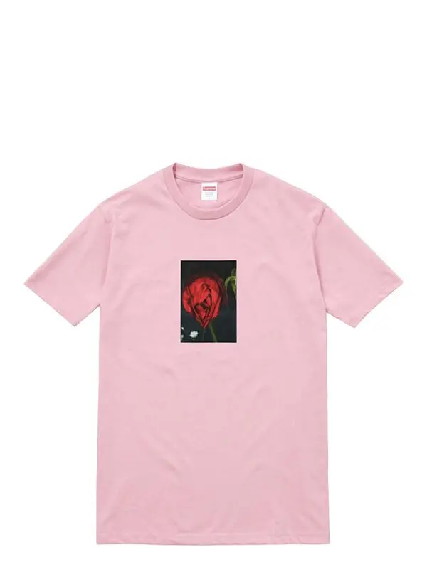 Supreme Akari Rose Tee Shirt - Dusty Pink