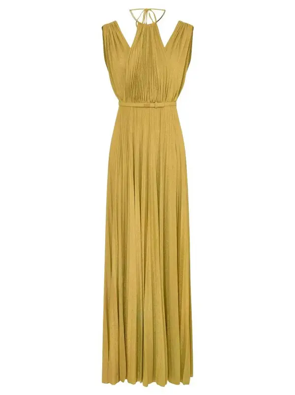 Elisabetta Franchi Pleated Maxi Evening Dress - Yellow