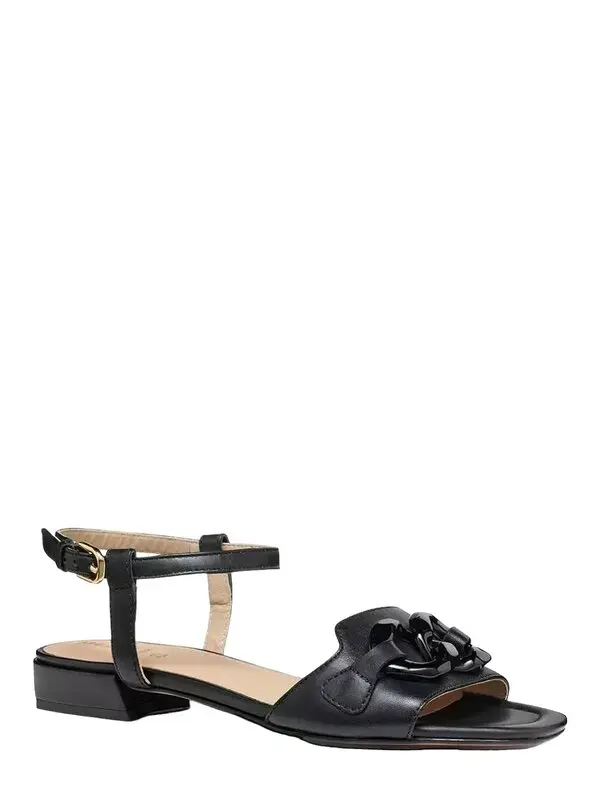 Geox Eraklia Ankle-strap Flat Sandals - Black