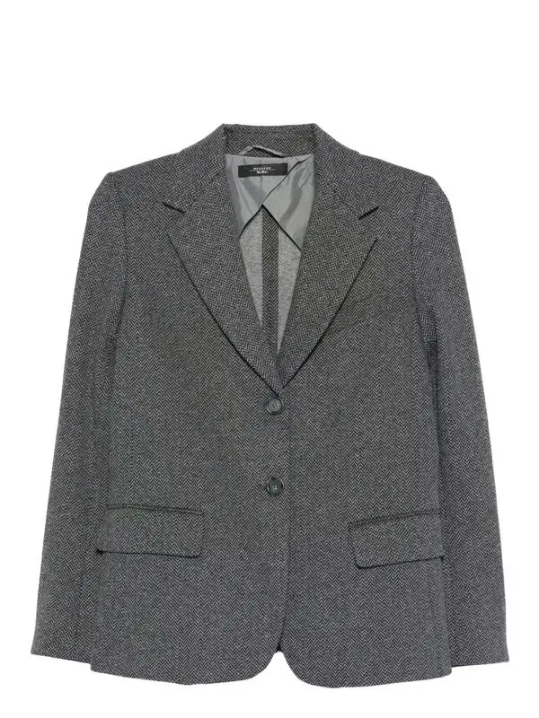 Max Mara Notched Button-fastening Jacket - Grey