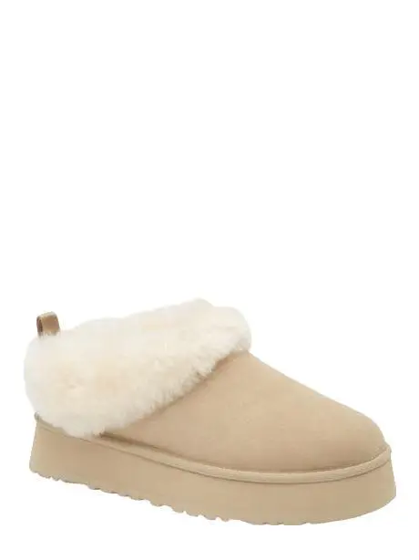 UGG Tazzelle Genuine Shearling Collar Slipper - Mustard Seed