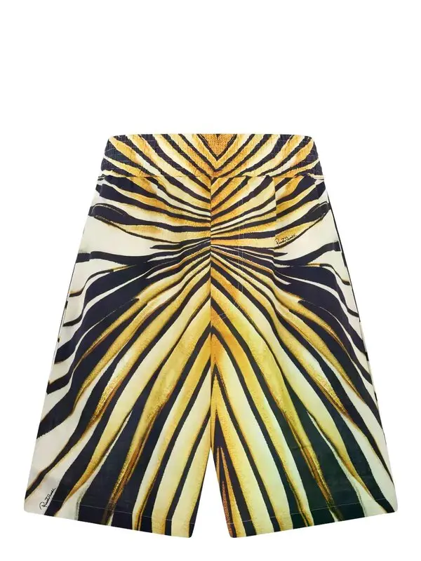 Roberto Cavalli Ray Of Gold Printed Shorts - Neutrals