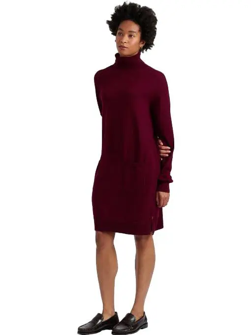 Chinti & Parker Rollneck Wool-cashmere Mini Dress - Claret