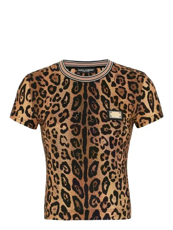 Dolce & Gabbana Leopard-print Crew-neck T-shirt - Brown
