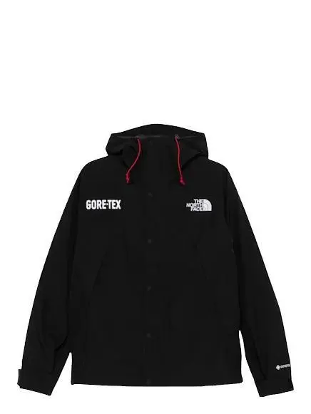 The North Face Gtx Mountain Jacket - Black/tnf Black