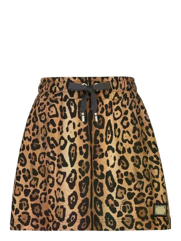 Dolce & Gabbana Leopard-print Mini Skirt - Brown