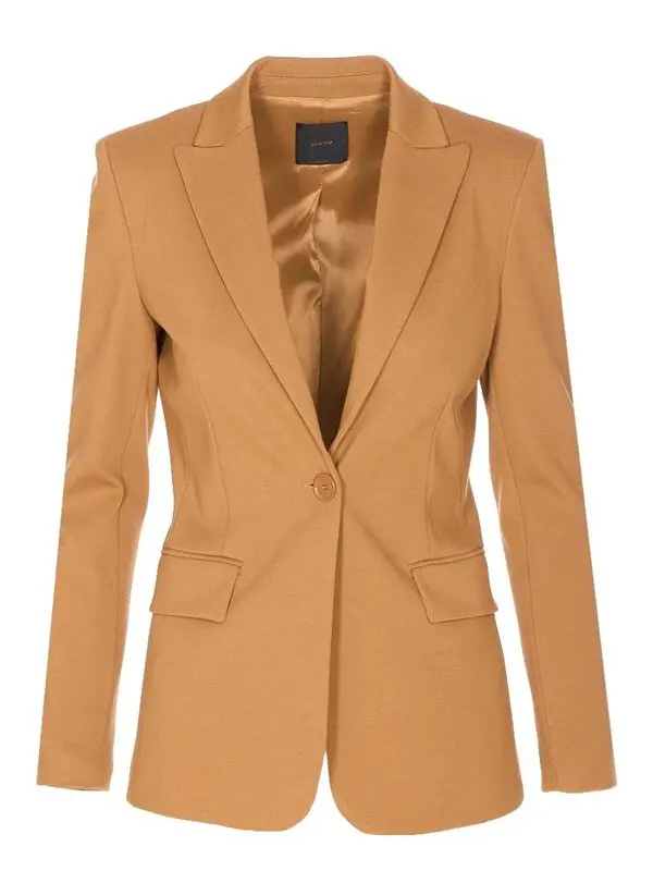 Pinko Blazer With Button Closure - Brown