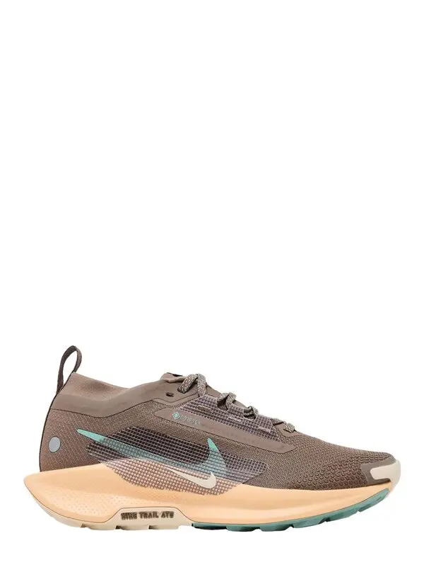 Nike Pegasus Trail Gore-tex - Brown