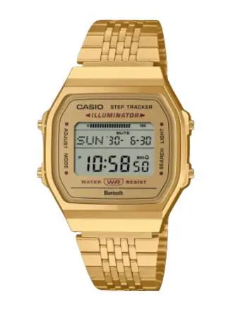 Casio Vintage Watch - Resin/gold Tone