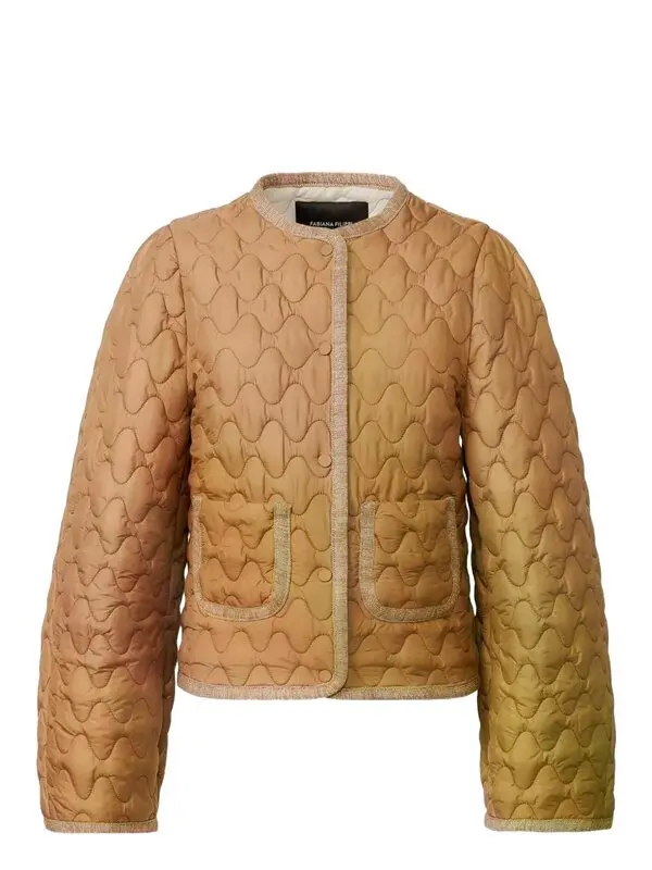 Fabiana Filippi Quilted Single-breasted Puffer Jacket - Brown