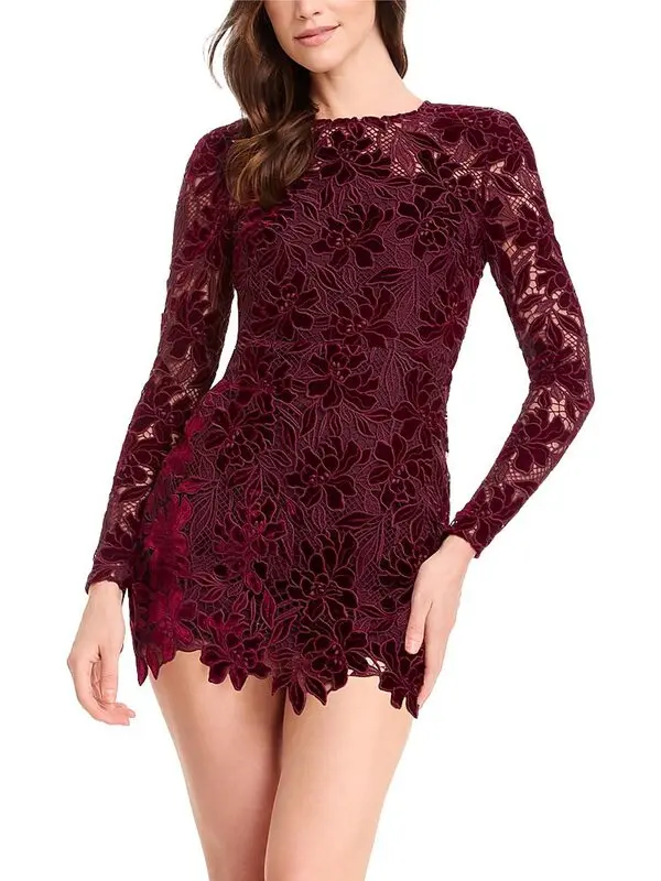 Dress The Population Stassi Lace Mini Dress - Oxblood