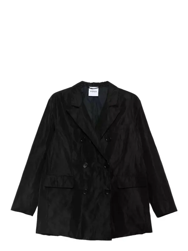 Aspesi Button-fastening Raincoat - Black
