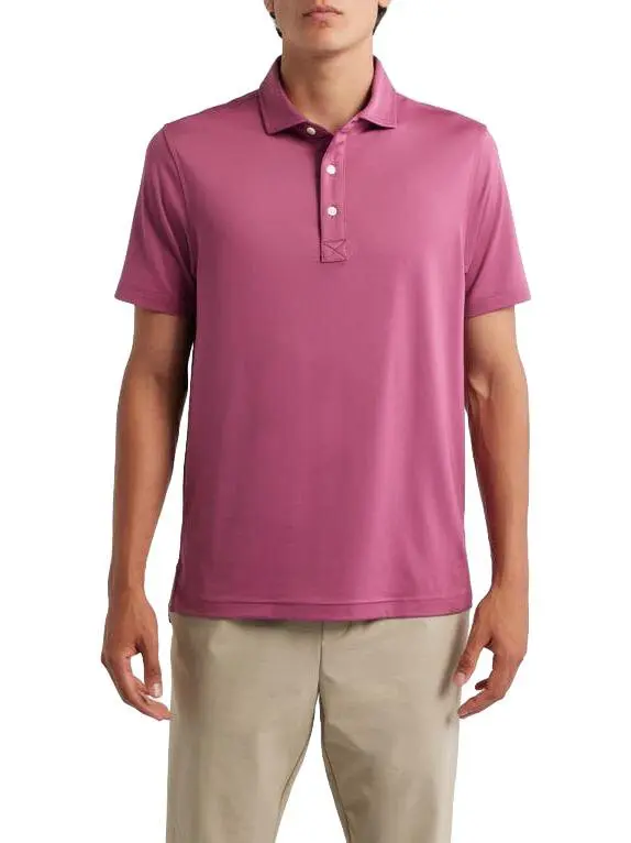 Brooks Brothers Solid Performance Series Polo - Violet Quartz
