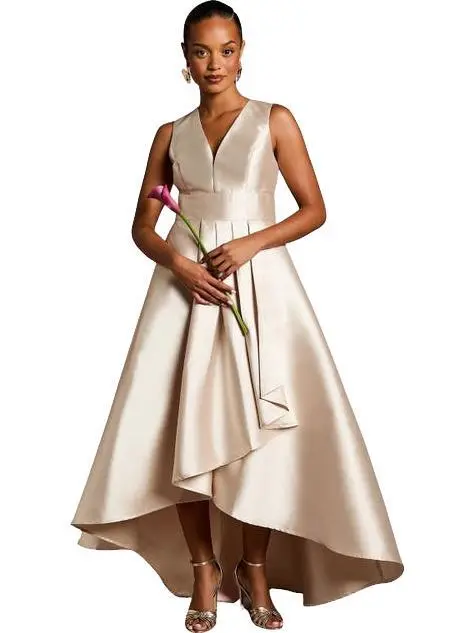 Coast Sleeveless Plunge Maxi Dress - Champagne