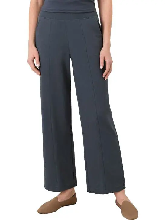 PACT Organic Cotton Pintuck Wide Leg Pants - Steel Blue