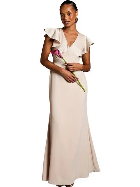 Coast Petite V-neck Short Sleeve Maxi Dress - Champagne