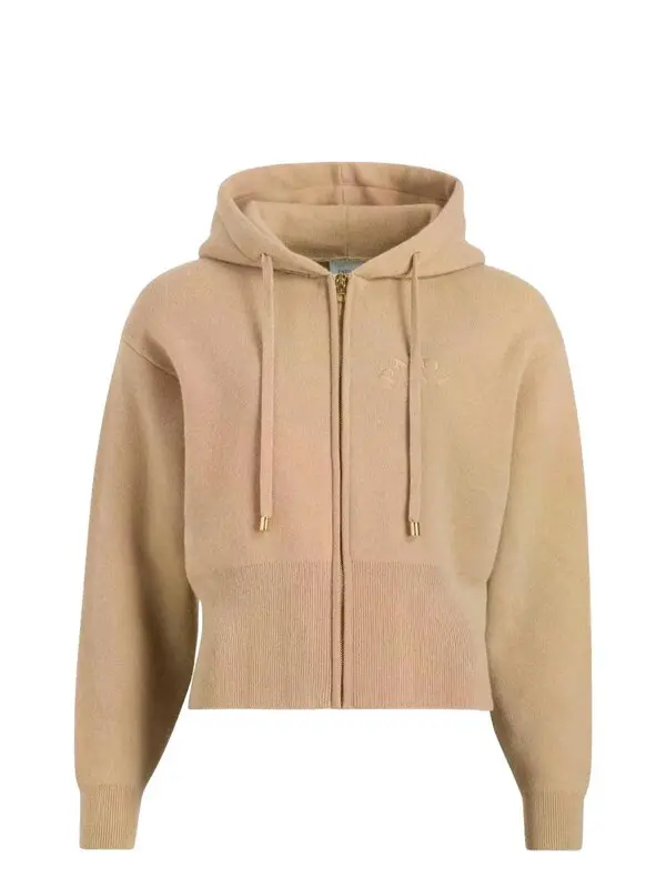 Patou Zip-up Embroidered Hoodie - Brown