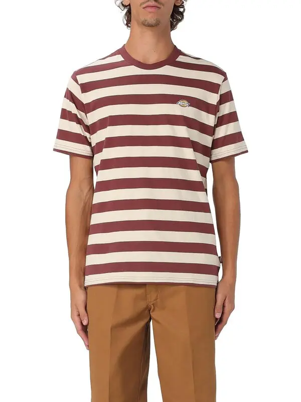 Dickies T-shirt - Brown