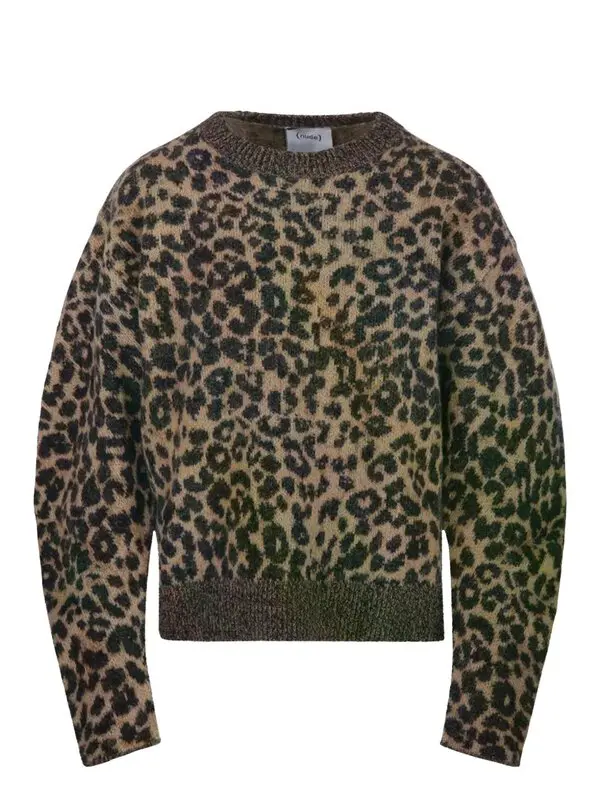 NUDE Leopard-print Sweater - Brown