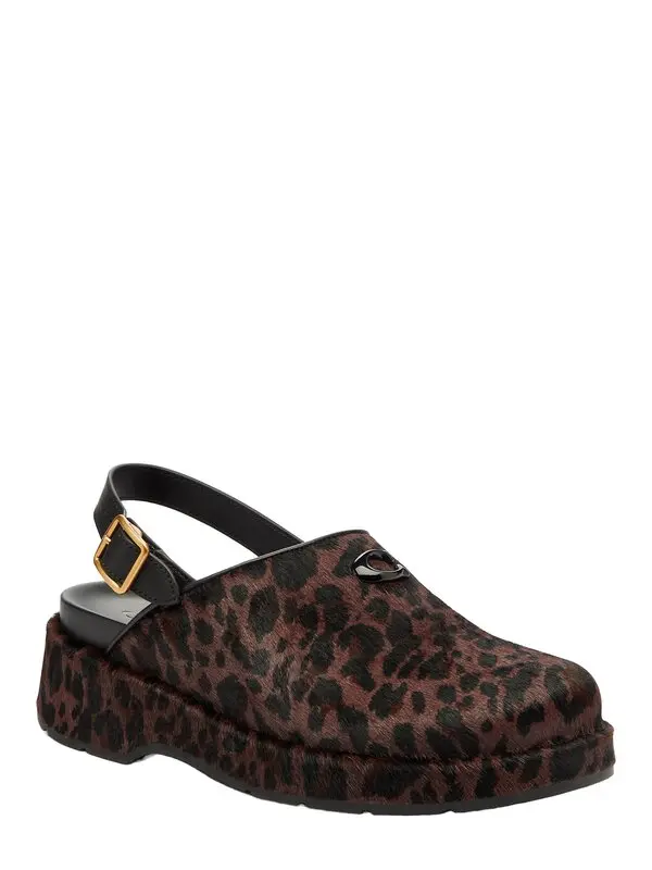 Coach Sculpted 'c' Platform Clogs - Dark Leopard