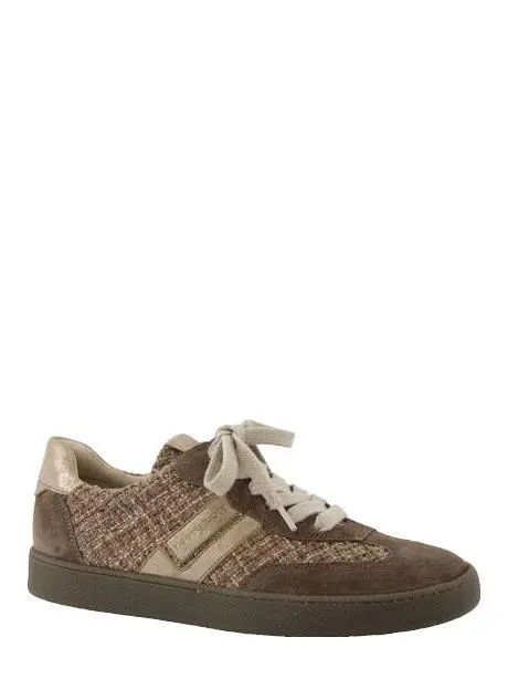 Paul Green Cruz Sneaker - Earth Soft Suede