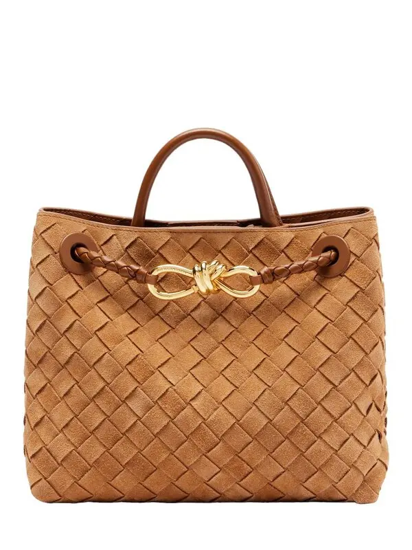 Bottega Veneta Andiamo Small Tote Bag - Brown