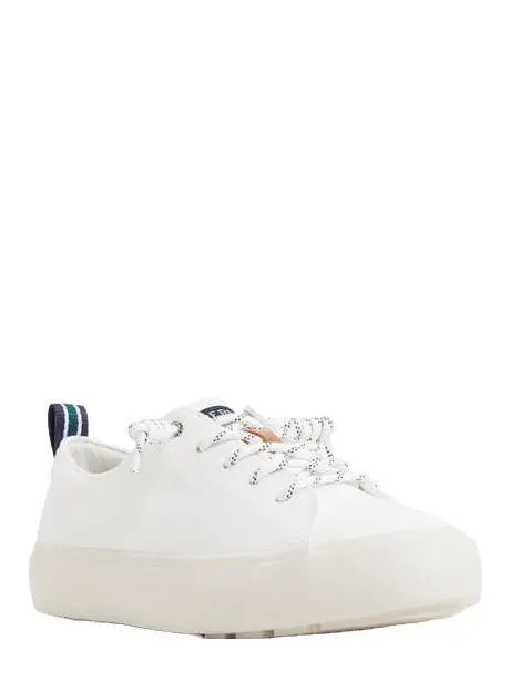 Sperry Cove Lace-to-toe Sneaker - White