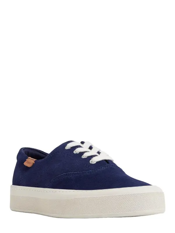 Sperry Candy Cvo Platform Sneakers - Navy