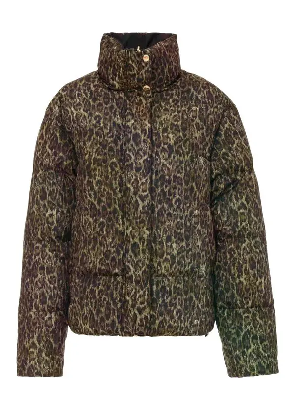 Just Cavalli Leopard-print Quilted Jacket - Brown