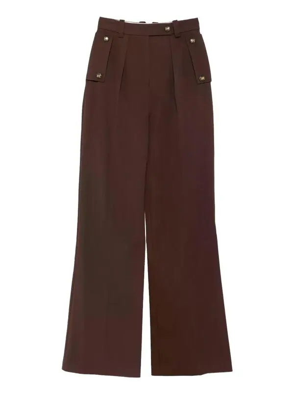 Elisabetta Franchi Pleated Trousers With Button Details - Brown