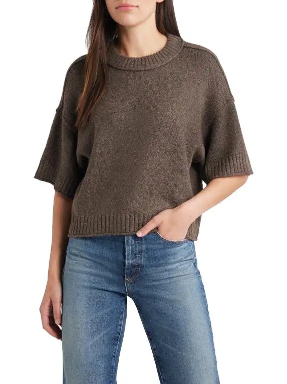 CITY BLUES Broome Crop Short Sleeve Sweater - Earth