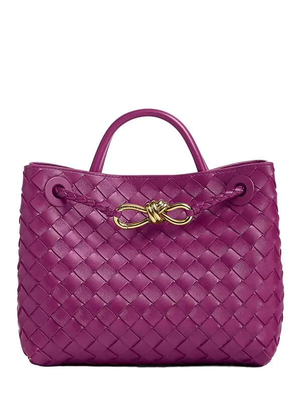 Bottega Veneta Small Intrecciato Andiamo Bag - Beetroot