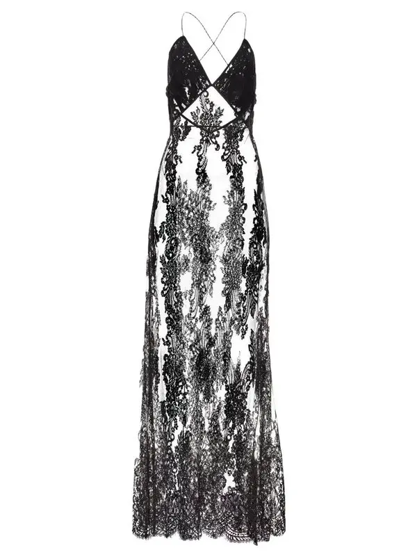 IL VOLO Naya Sheer-lace Maxi Dress - Black