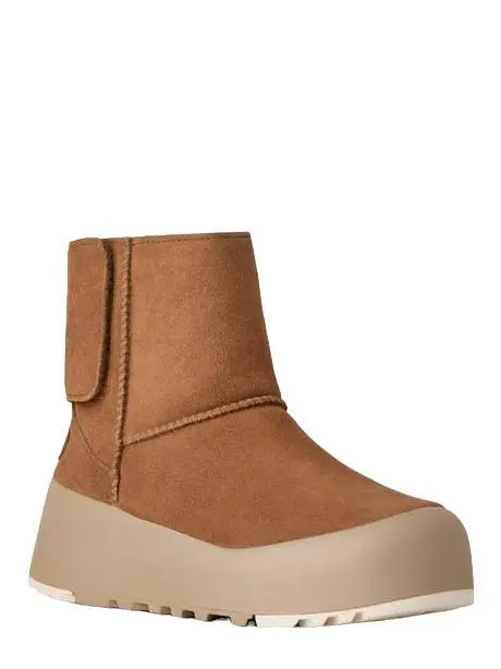 UGG Classic Streetscape Bootie - Chestnut /mustard Seed