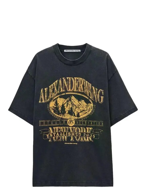 Alexander Wang Graphic-print T-shirt - Grey