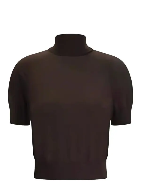 PETAR PETROV Short-sleeve Turtleneck Top - Brown