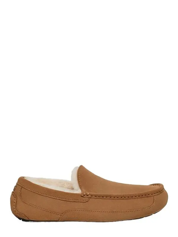 UGG Ascot Slipper - Chestnut