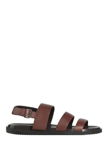 CERRUTI 1881 Glossed Leather Ankle Strap Sandals - Brown