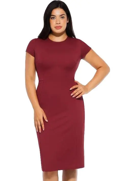 POPILUSH Sculptwear Fitted Dress - Burgundy