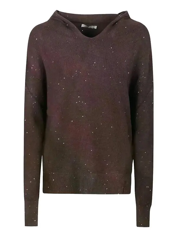 HINNOMINATE Sequin-embellished Hooded Sweater - Brown