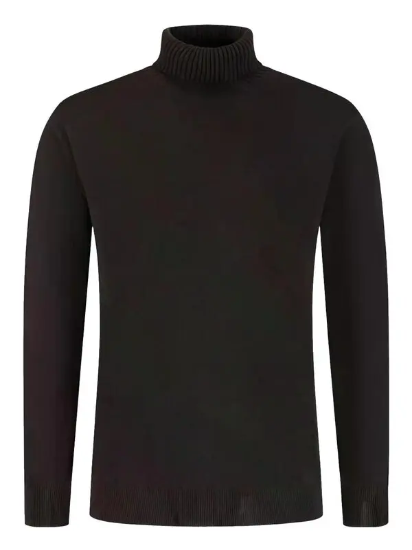 DORIANI Turtleneck Sweater - Brown