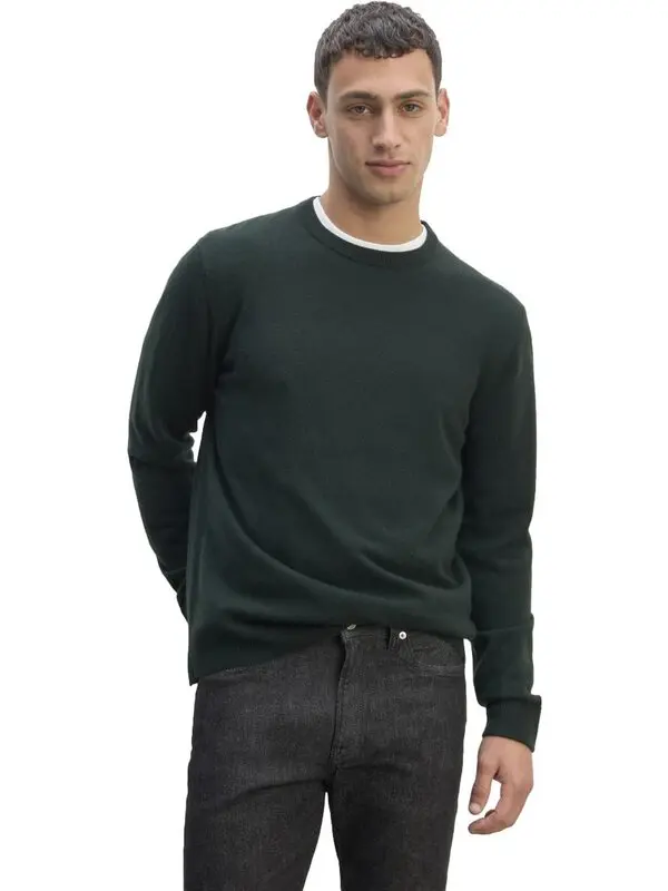 Everlane Cashmere Crew Neck Sweater - Scarab