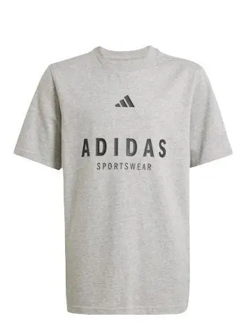 Adidas All Szn Graphic Tee Shirt - Medium Grey Heather/black