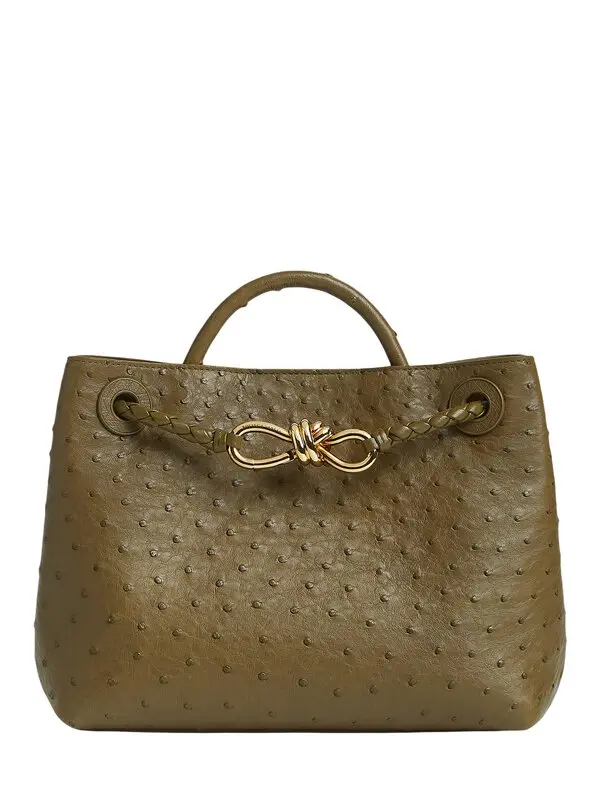 Bottega Veneta Small Andiamo Top-handle Bag - Mud